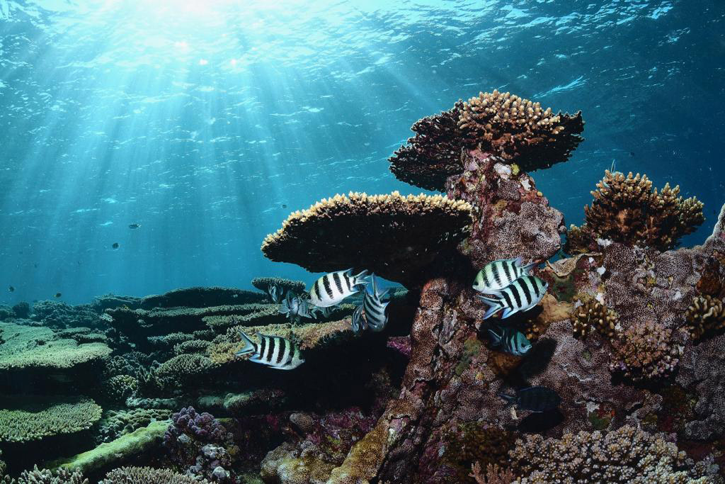 ACALA’s OWNER ON HIS BEAUTIFUL EXPLORER YACHT | CDM Experience